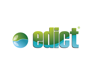 Edict - An EveryMatrix partner